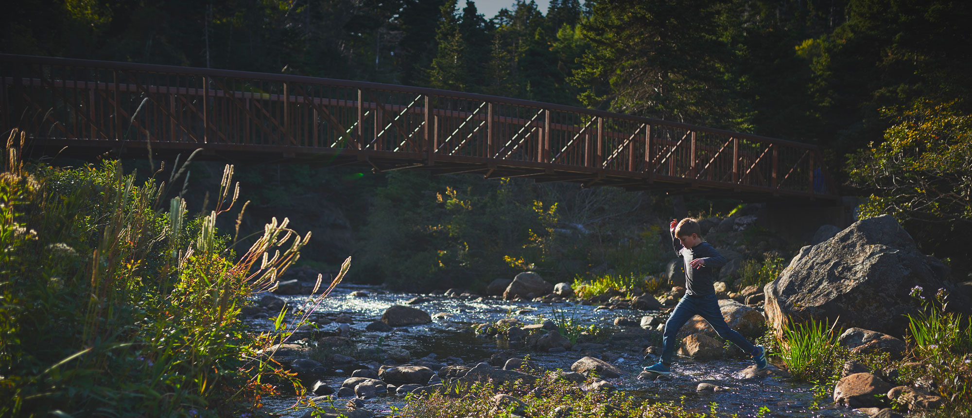 Things To Do - Town of Conception Bay South • Town of Conception Bay South