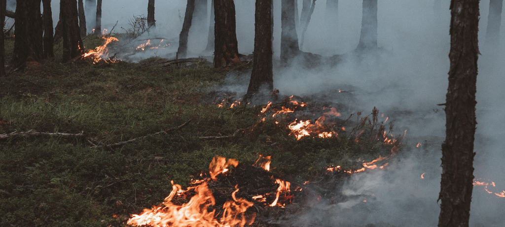 Dry Conditions Bring Early Start to Forest Fire Season - Town of ...